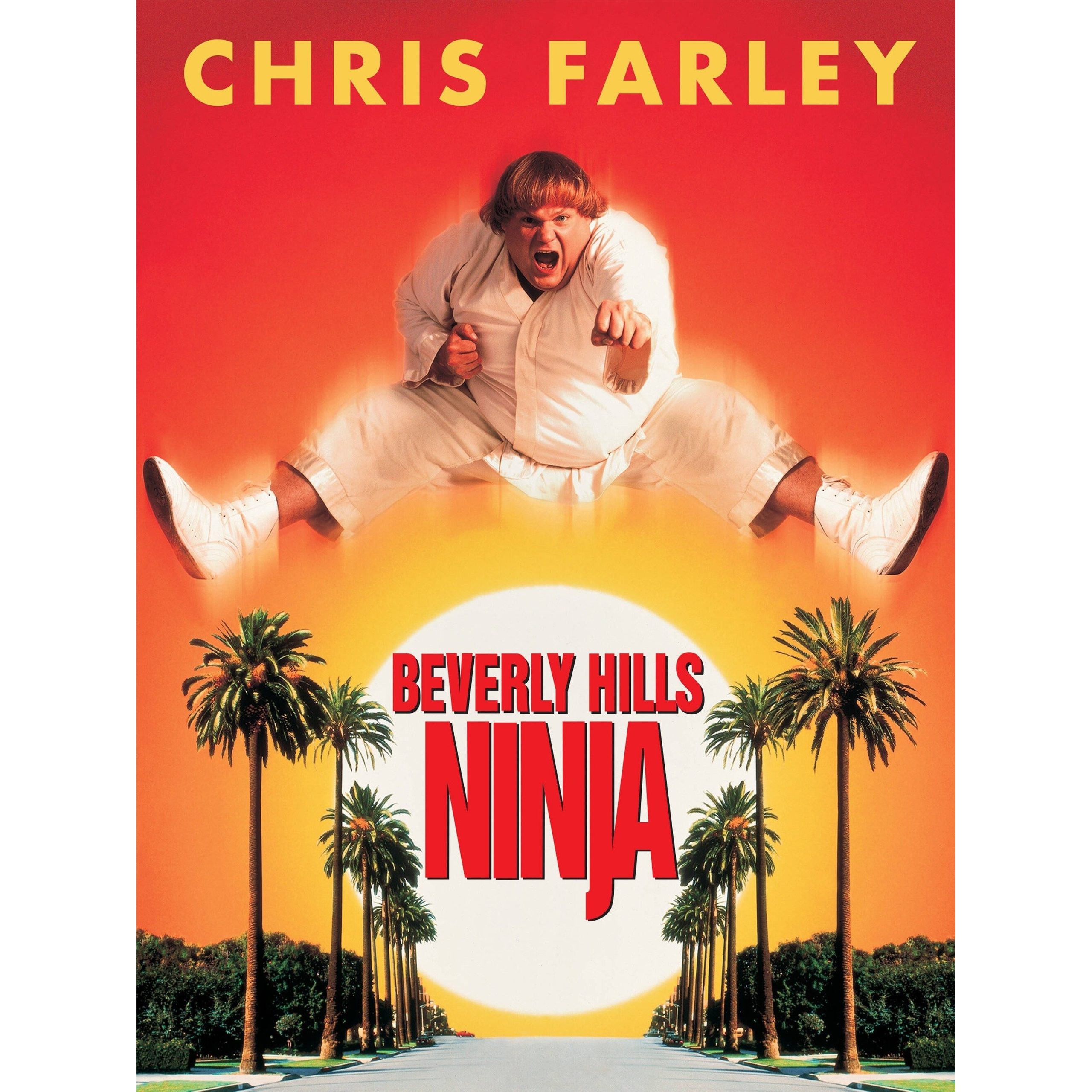 Beverly Hills Ninja (1997) | Movieland